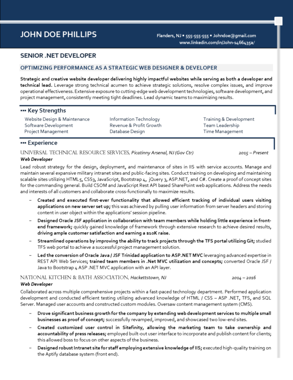 2025 Web Developer Resume Examples [+Guide]