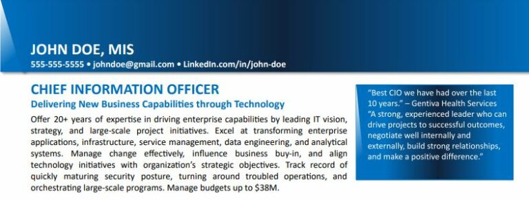Best Chief Information Officer CIO Resume Samples and How to Guide for ...