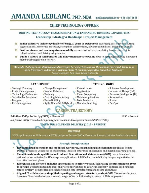 Chief Technology Officer Resume Examples for 2025 [+Guide]