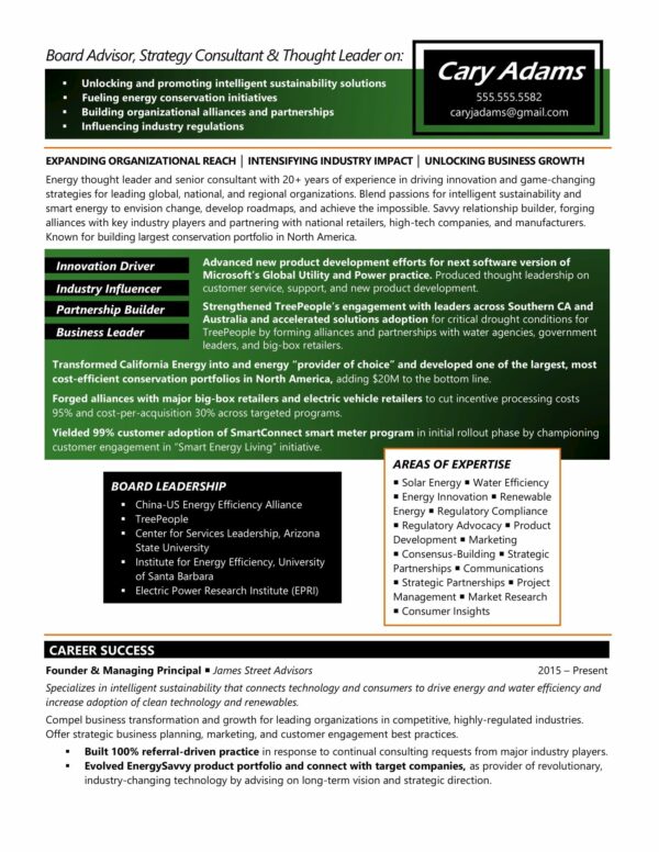 Best Board of Directors Resume Examples For 2024