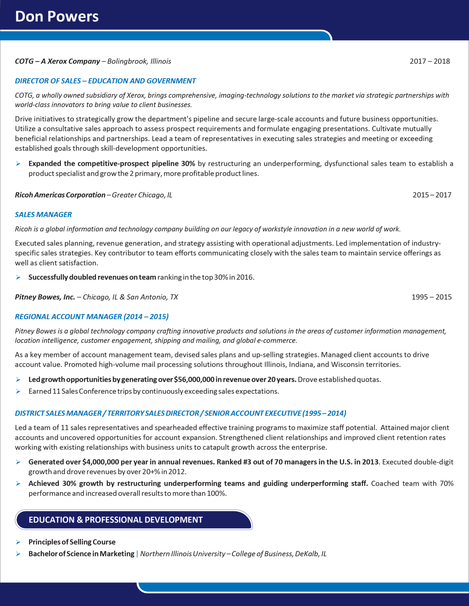 Sales Director Resume Examples & Guide for 2023