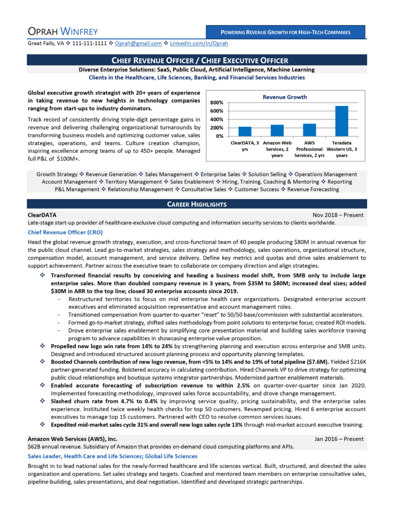 Best CEO Resume Examples For 2025